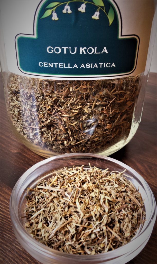 Gotu Kola Bulk Herb – Tonic Herb Shop